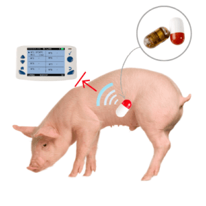 Anipill Animal Core Body Temperature Monitoring Pill and Monitor – BMedical